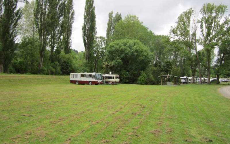 Totara Reserve Regional Park | Freedom/Basic Camp | New Zealand